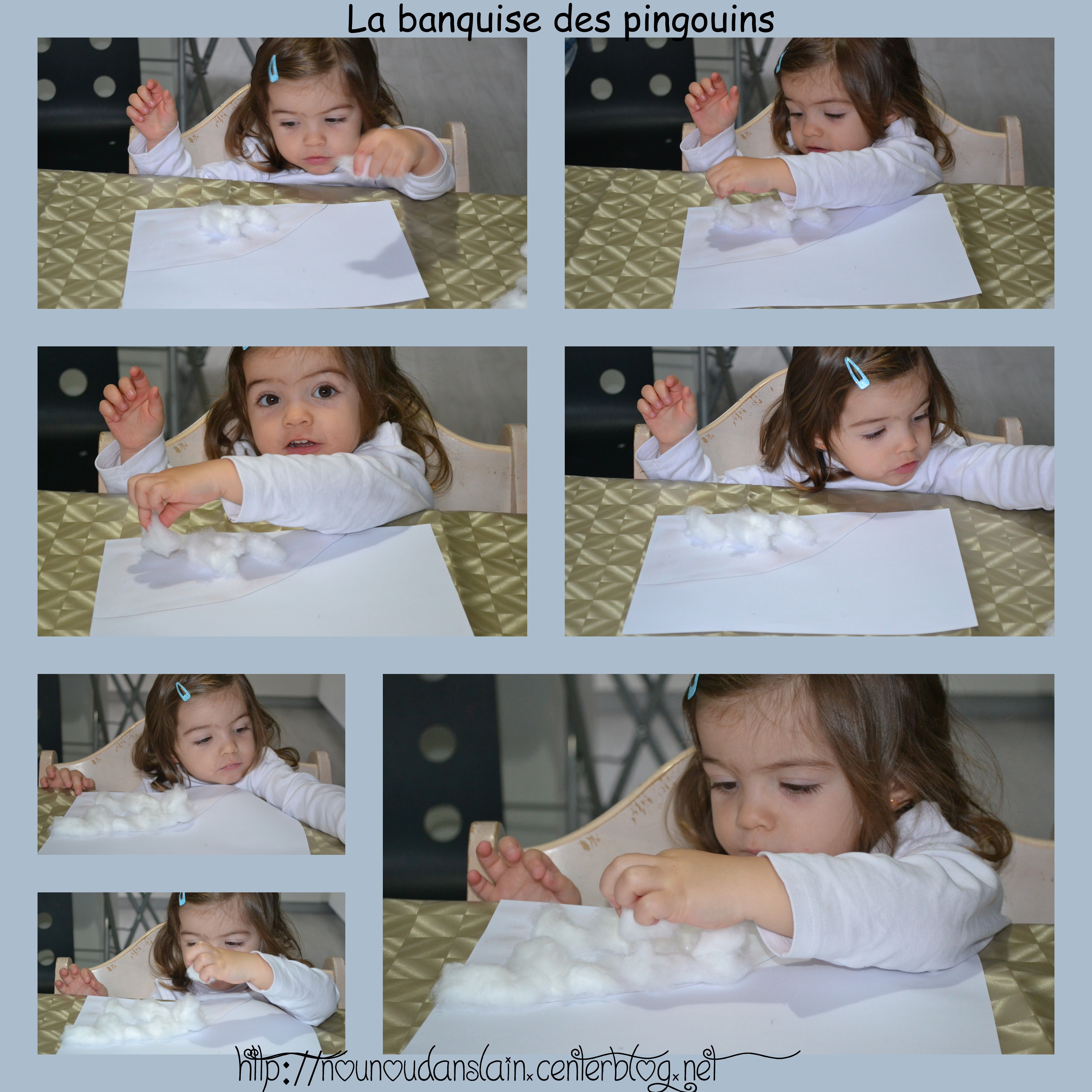 La banquise des pingouins